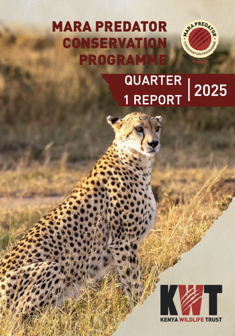 Mara Predator Conservation Programme Progress Report